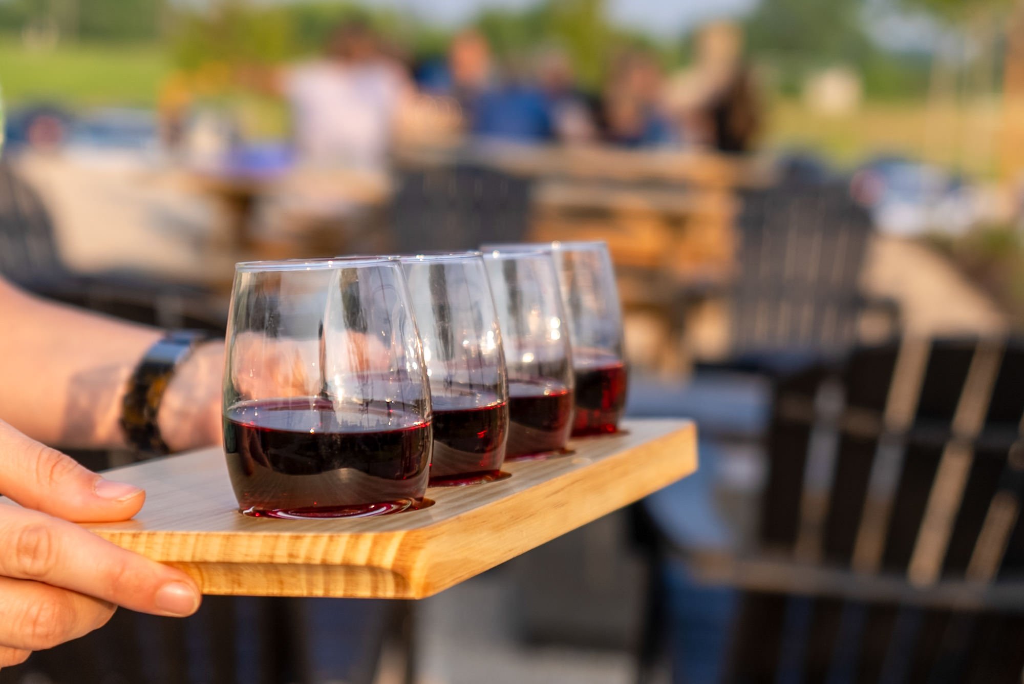 Wine and Food Pairing Basics